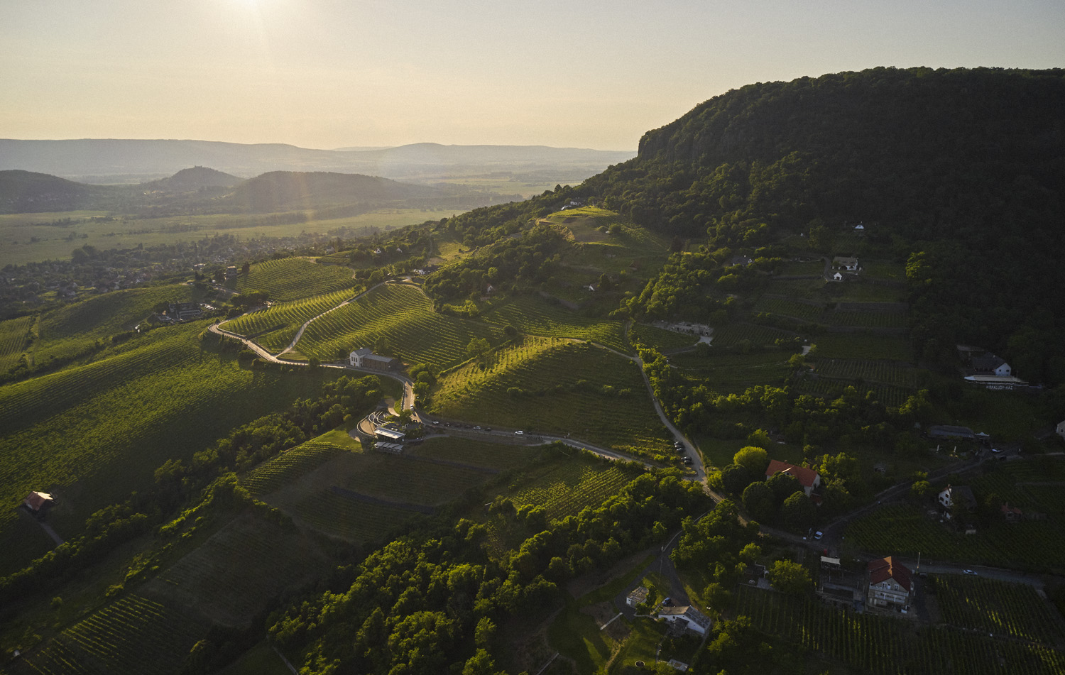 12-13 SEP | Group 8 | Balaton Wine Region - BOR 2025