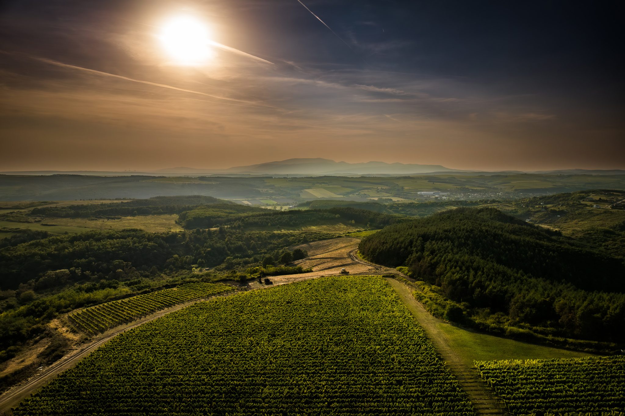 08-09 SEP | Group 2 | Eger – Tokaj - BOR 2025