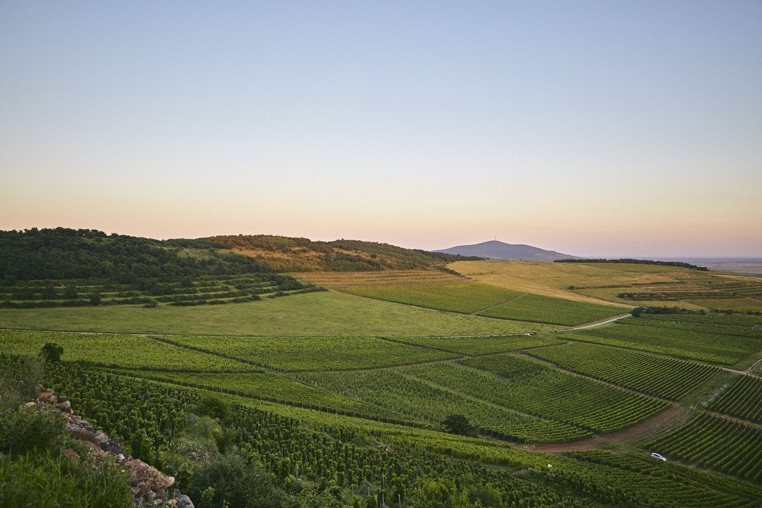 08-09 SEP | Group 1 | Tokaj – Eger - BOR 2025